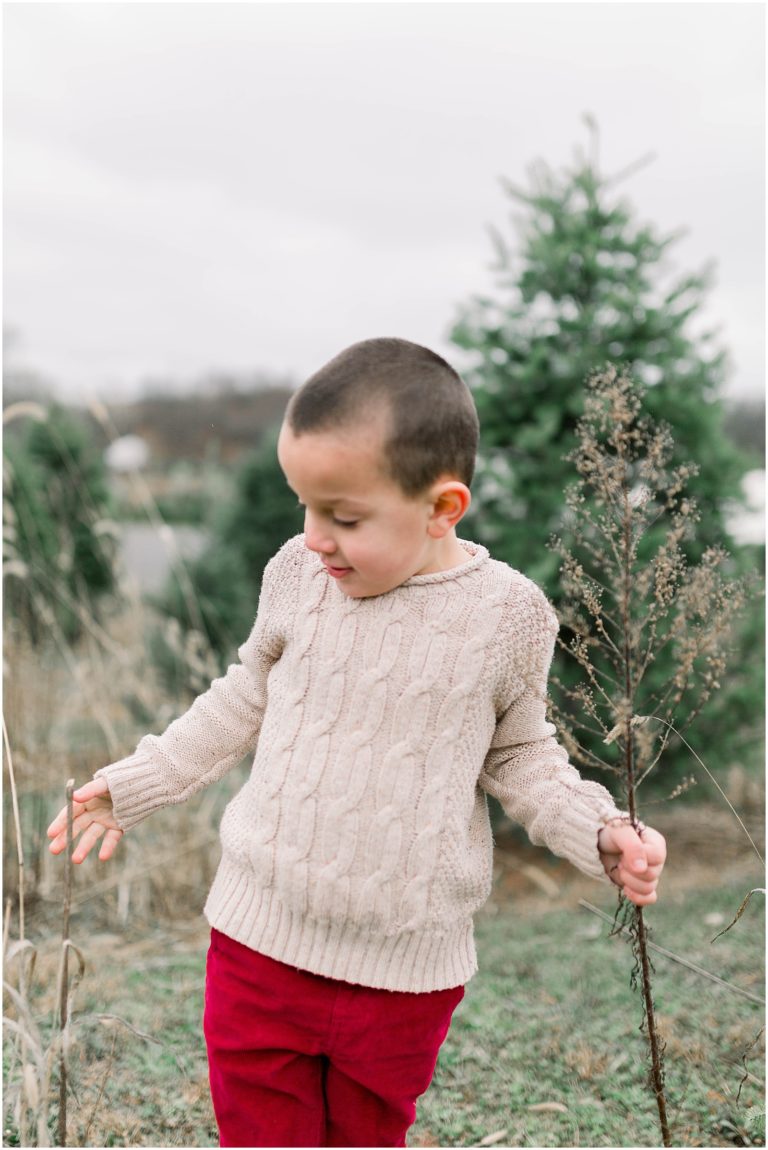 The Ristoff Family | katieconwayphotography.com